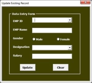 Data Entry Form in Excel - Next Gen Templates