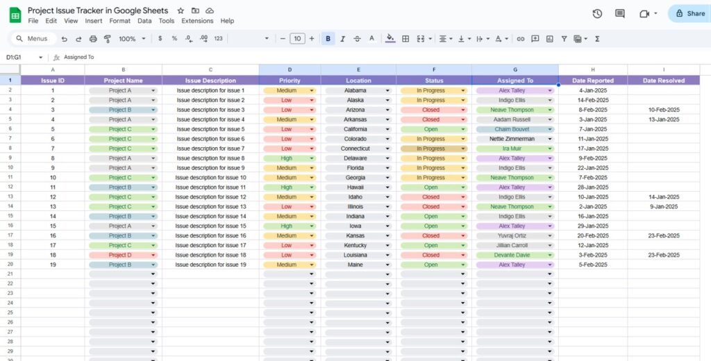Project Issue Tracker In Google Sheets Next Gen Templates